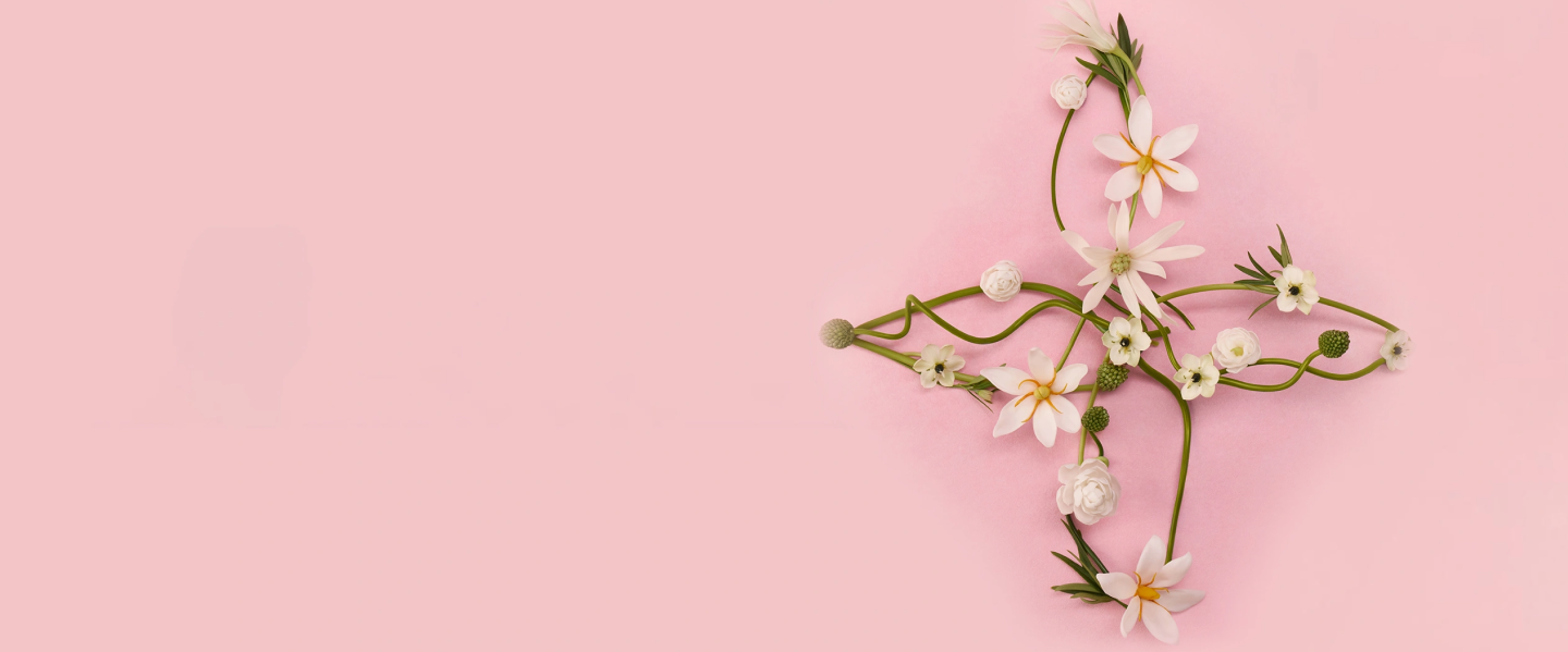 Molly Tea Shop – MOLLY TEA